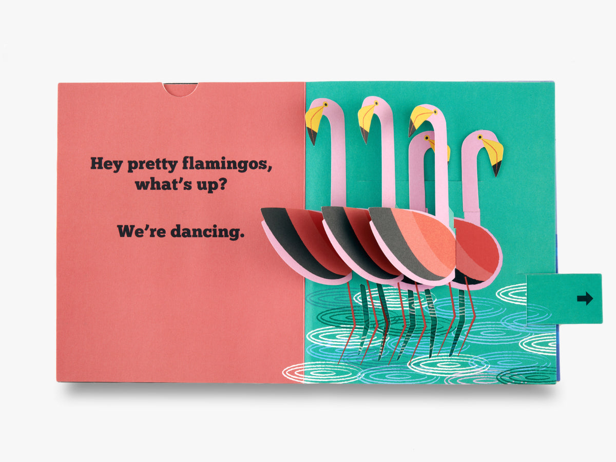 What's Up? (A Flip Flap Pop Up Book) – The Kids Collection
